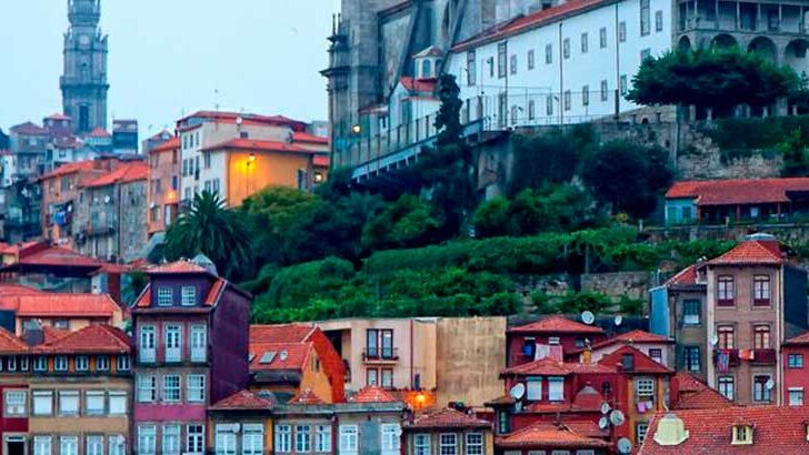 News – DeepLearn 2024